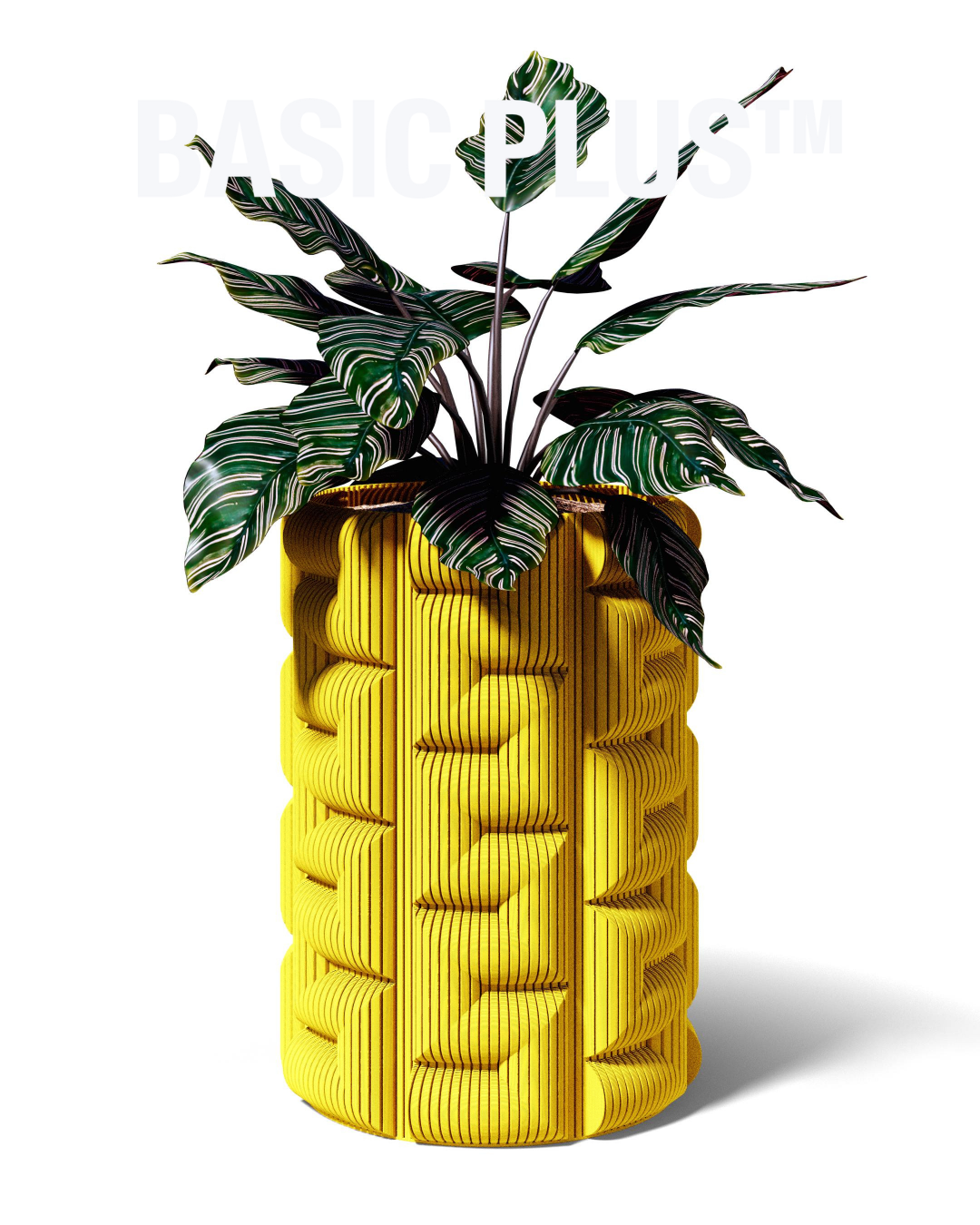 KOOT VASE – Basic Plus